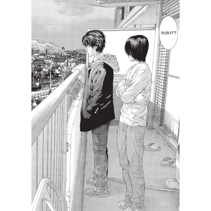 Manga: Inuyashiki vol. 2